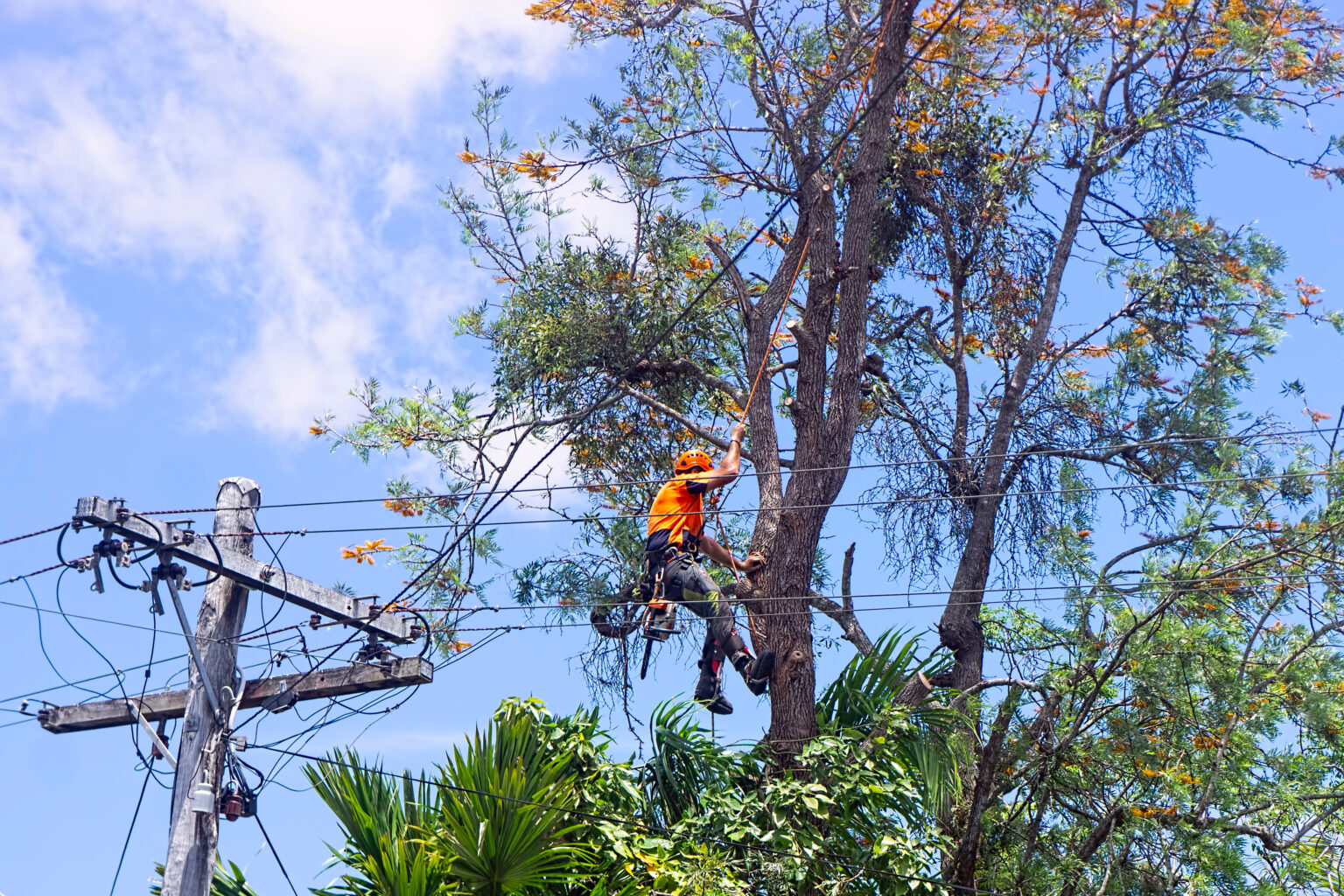 Sharper Shape | Sharper intelligence for a safer world