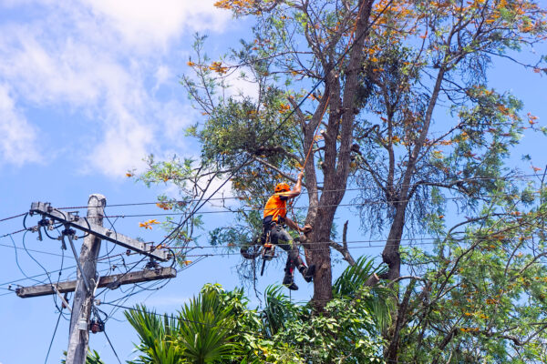 Sharper Shape | Sharper intelligence for a safer world